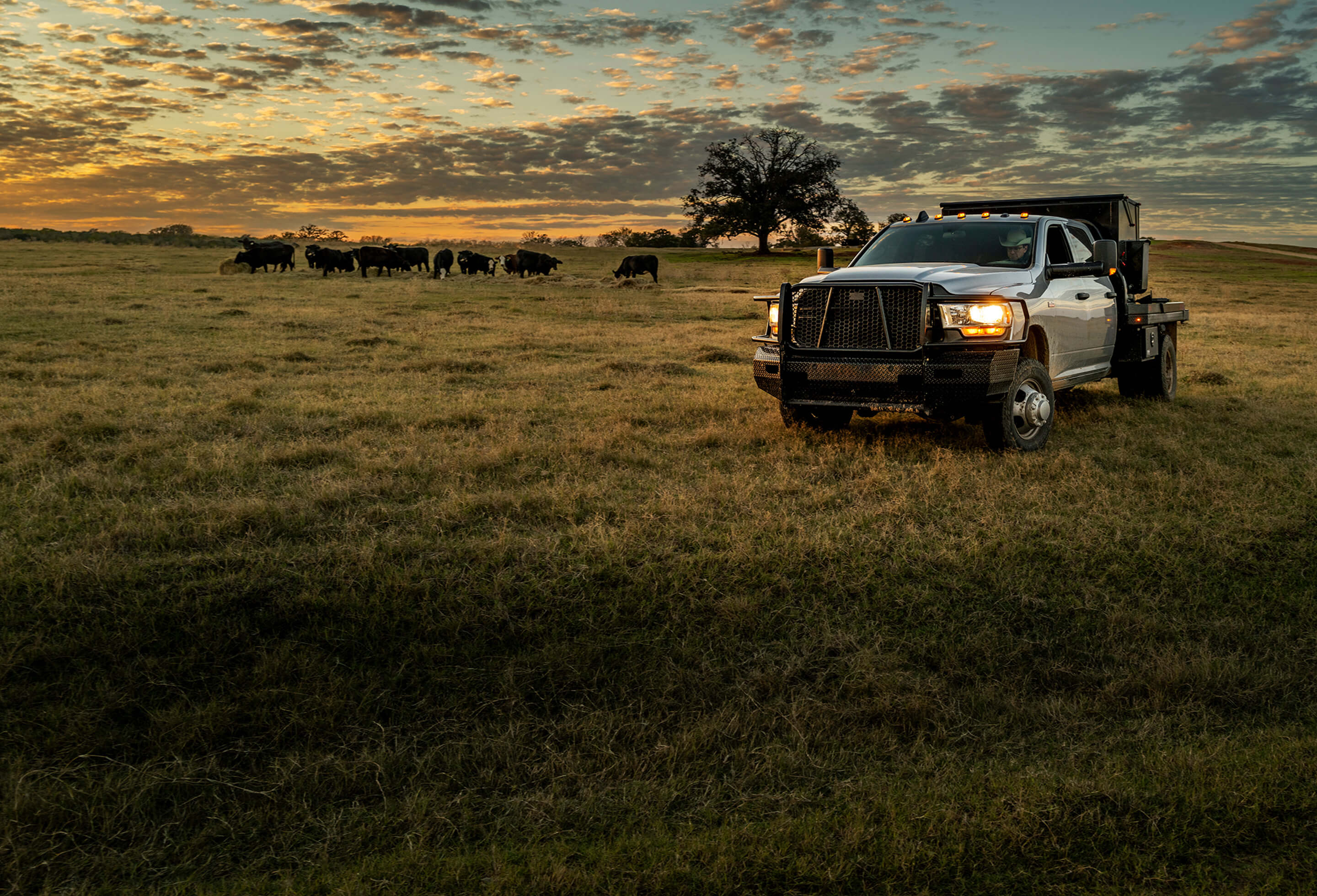 Capital Farm Credit | Serving Texas Ranchers